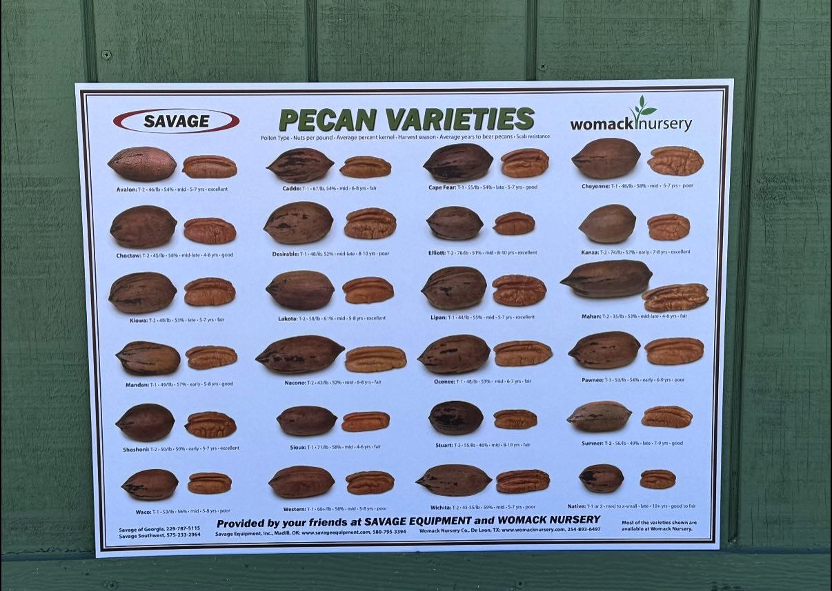 Pecan Variety Poster – Womack Nursery