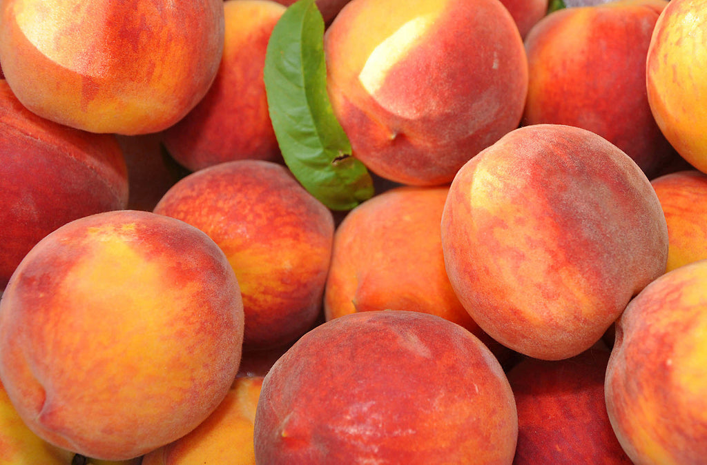 Peaches - Womack Nursery